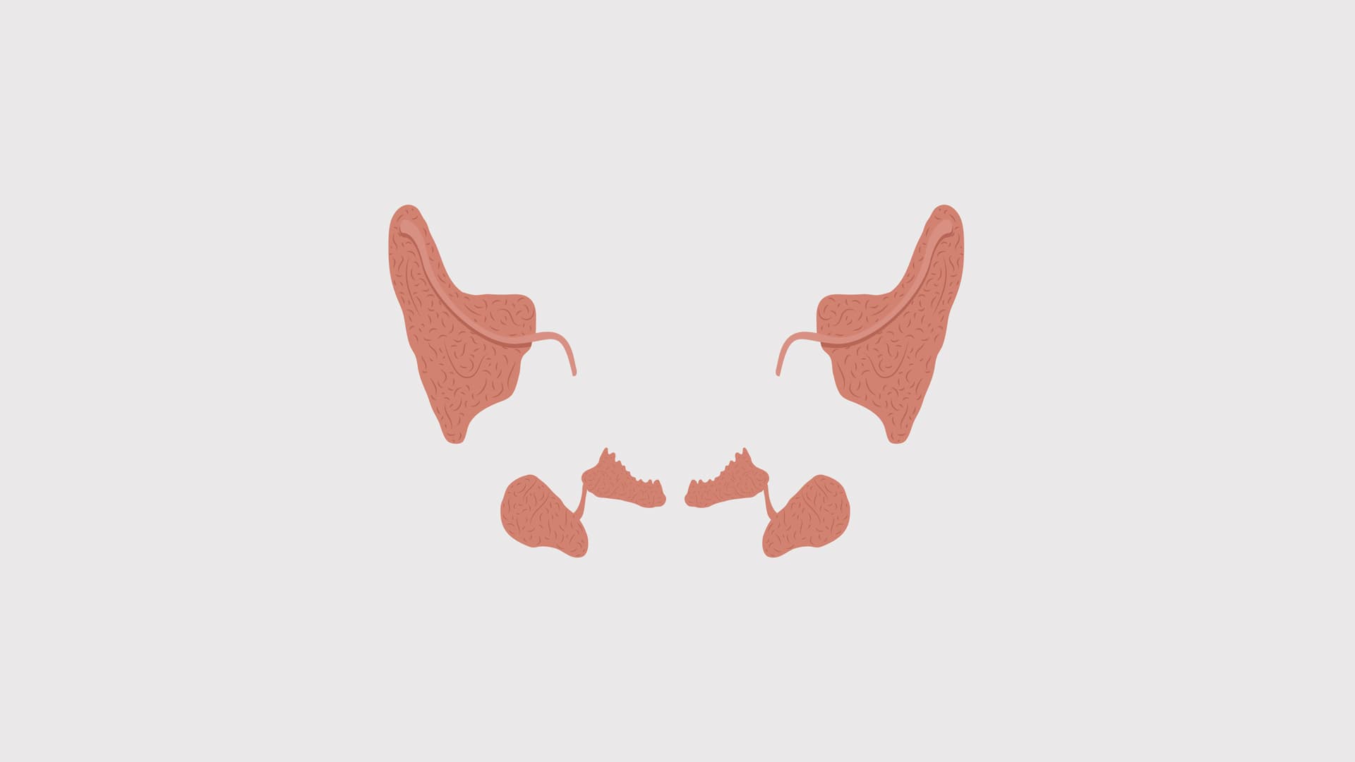 ENT salivary gland surgery: all procedures | Dr Delagranda